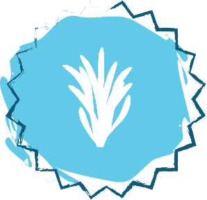 Shop Testa Vegan DHA Supplement Made From Algae Oil